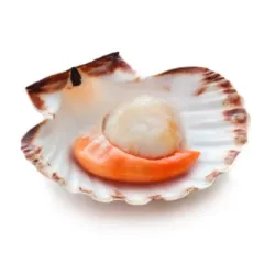 Saltz.app